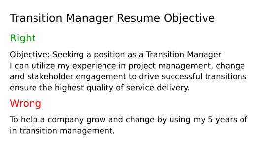 Top 17 Transition Manager Resume Objective Examples