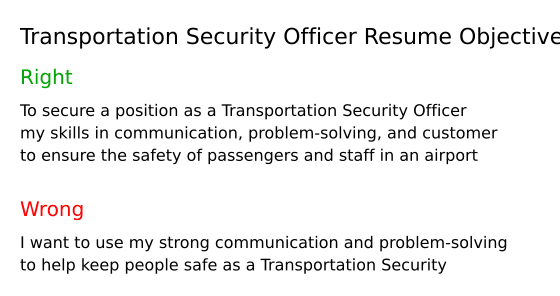 Top 17 Transportation Security Officer Resume Objective Examples