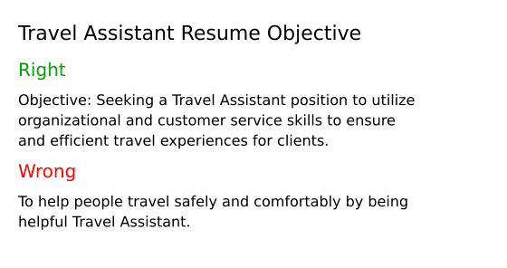 Top 18 Travel Assistant Resume Objective Examples
