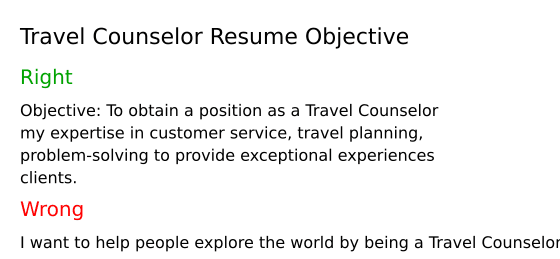 Top 16 Travel Counselor Resume Objective Examples
