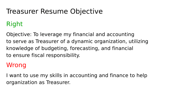 Top 17 Treasurer Resume Objective Examples | ResumeCat