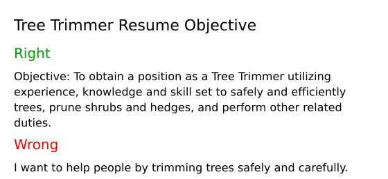 Top 18 Tree Trimmer Resume Objective Examples | ResumeCat