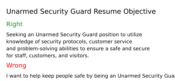 Top 17 Unarmed Security Guard Resume Objective Examples