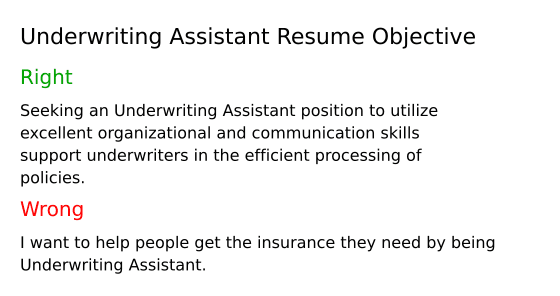 Top 17 Underwriting Assistant Resume Objective Examples