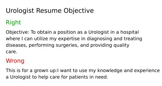 Top 18 Urologist Resume Objective Examples | ResumeCat