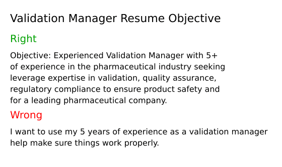 Top 18 Validation Manager Resume Objective Examples