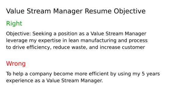 Top 16 Value Stream Manager Resume Objective Examples