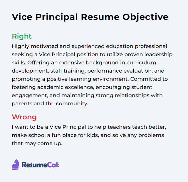 Top 16 Vice Principal Resume Objective Examples ResumeCat