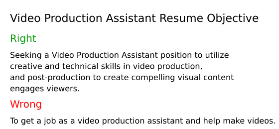 Top 18 Video Production Assistant Resume Objective Examples