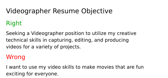 Top 17 Videographer Resume Objective Examples | ResumeCat