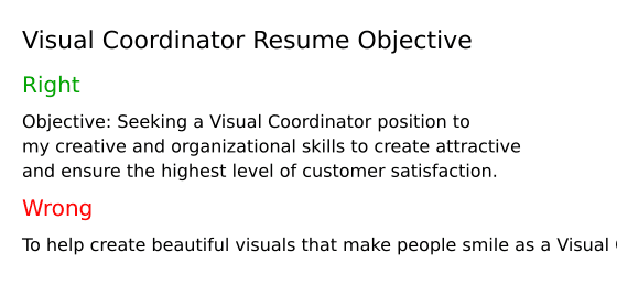 Top 17 Visual Coordinator Resume Objective Examples