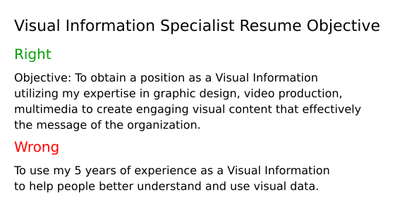 Top 16 Visual Information Specialist Resume Objective Examples