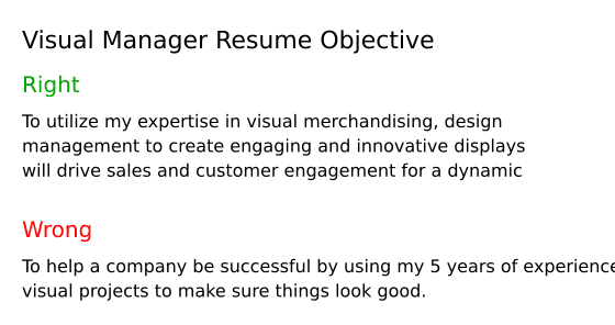 Top 16 Visual Manager Resume Objective Examples | ResumeCat