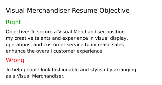 Top 17 Visual Merchandiser Resume Objective Examples