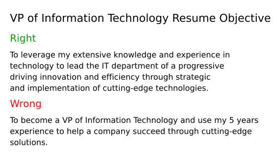Top 17 VP of Information Technology Resume Objective Examples