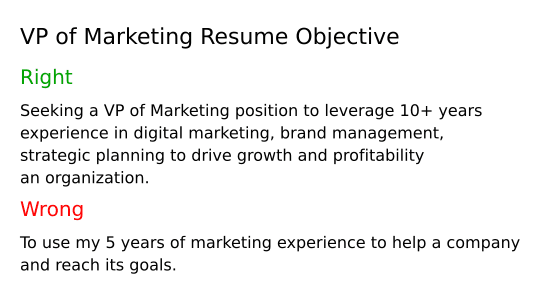 Top 16 VP of Marketing Resume Objective Examples | ResumeCat