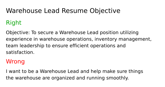 Top 17 Warehouse Lead Resume Objective Examples | ResumeCat