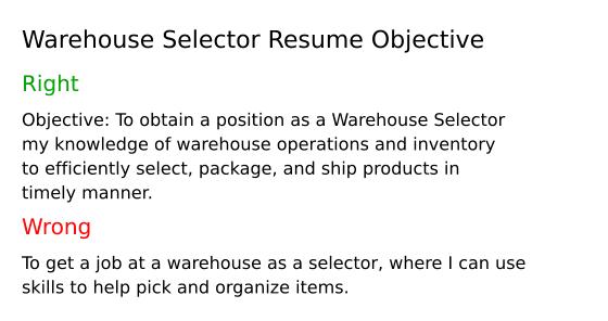 Top 17 Warehouse Selector Resume Objective Examples