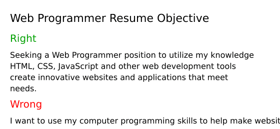 Top 16 Web Programmer Resume Objective Examples | ResumeCat