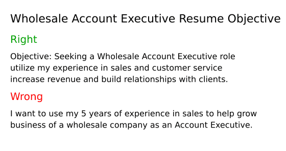Top 16 Wholesale Account Executive Resume Objective Examples