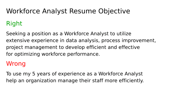 Top 16 Workforce Analyst Resume Objective Examples