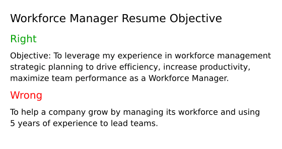 Top 16 Workforce Manager Resume Objective Examples