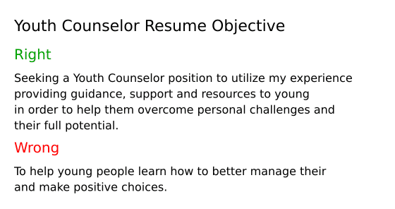 Top 16 Youth Counselor Resume Objective Examples | ResumeCat
