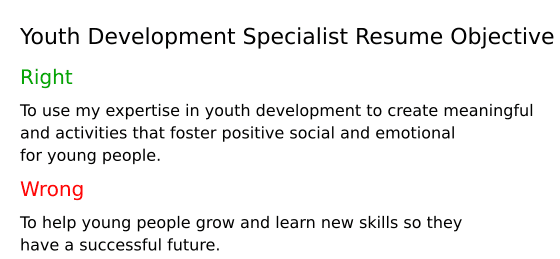 Top 17 Youth Development Specialist Resume Objective Examples