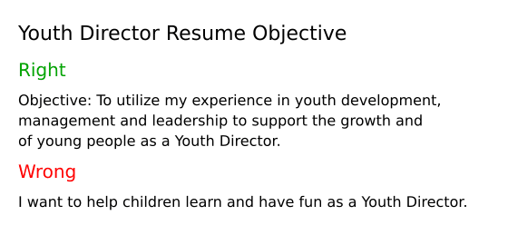 Top 17 Youth Director Resume Objective Examples | ResumeCat