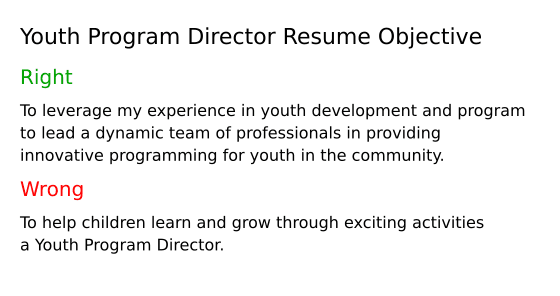 Top 17 Youth Program Director Resume Objective Examples