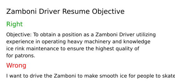 Top 17 Zamboni Driver Resume Objective Examples | ResumeCat